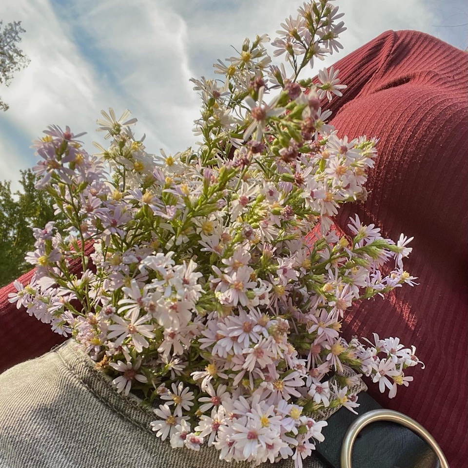 Poetess Library – Writing, books, poems